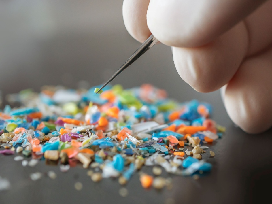 Understanding the Impact of Microplastics in Drinking Water - Filpure ...